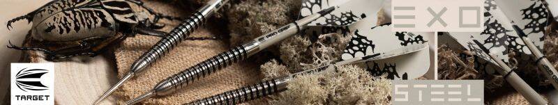 Target Exo Steeldarts online bestellen